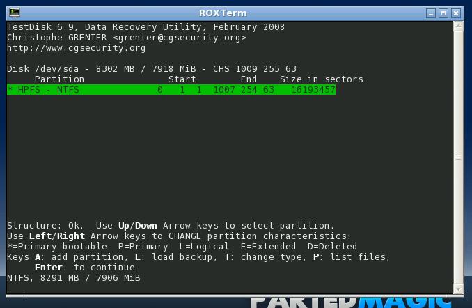 Partition-Mass-Storage-Dummies-Linux-HOWTO