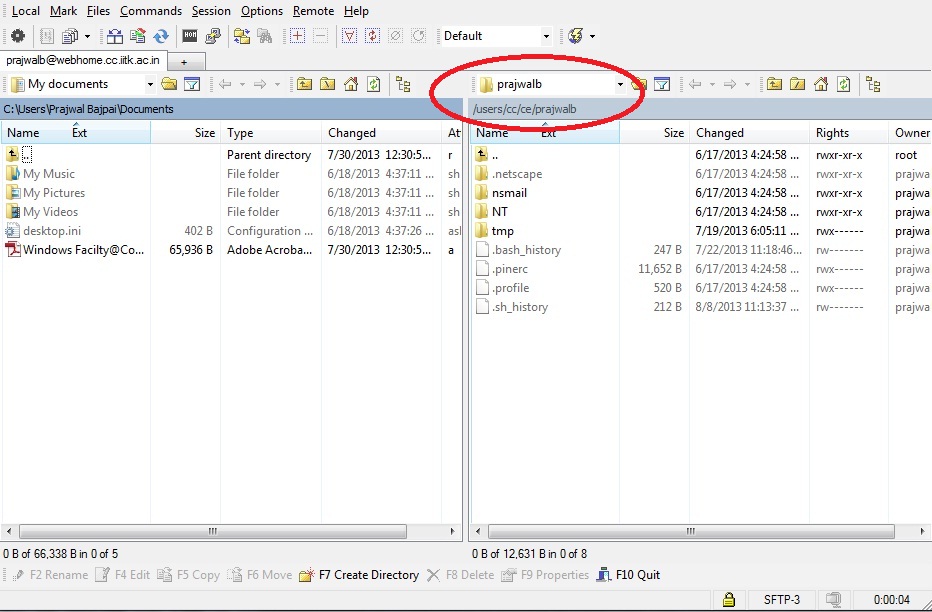 Using WinSCP