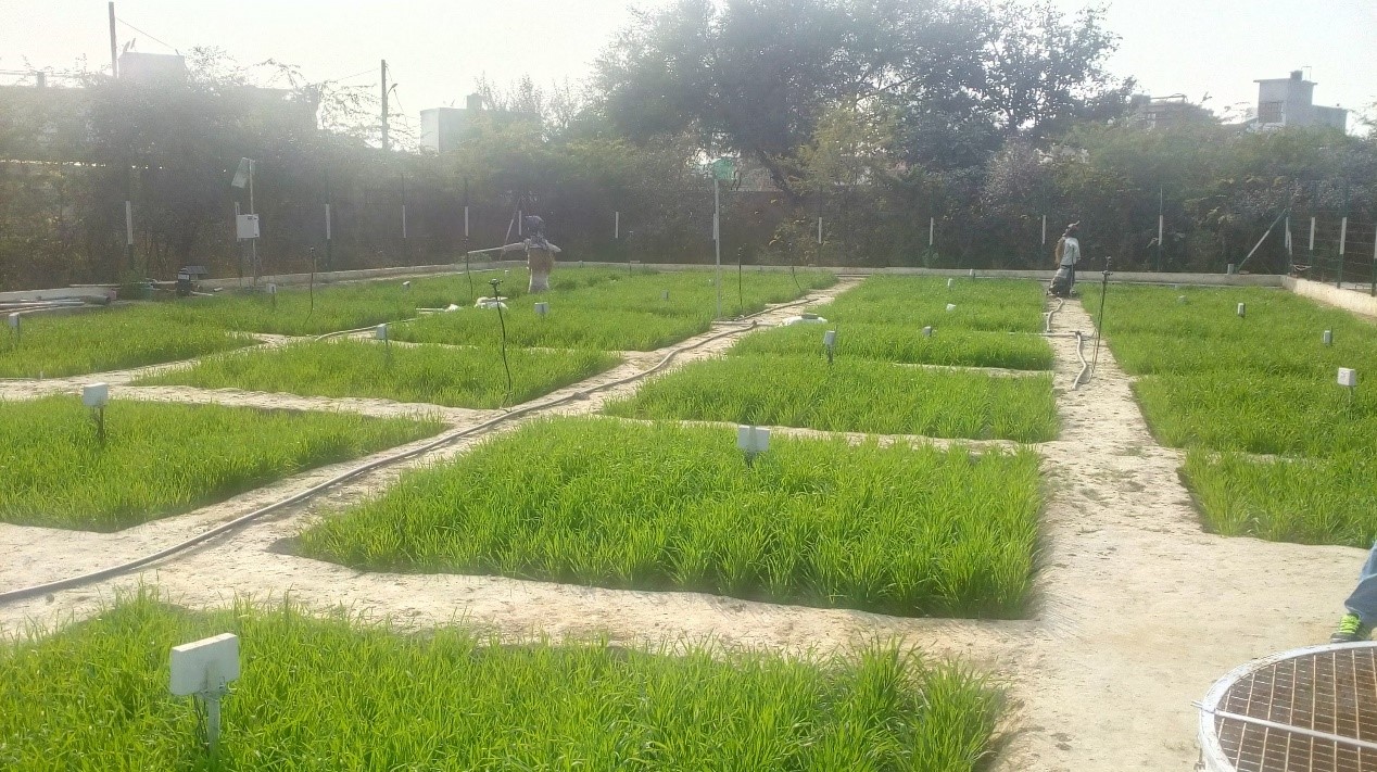 Facilities