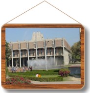 Visitor Information