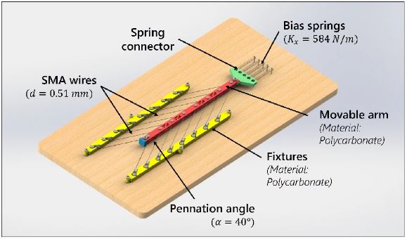 Bioinspired SMA based Actuator | SMSS Laboratory | IIT Kanpur